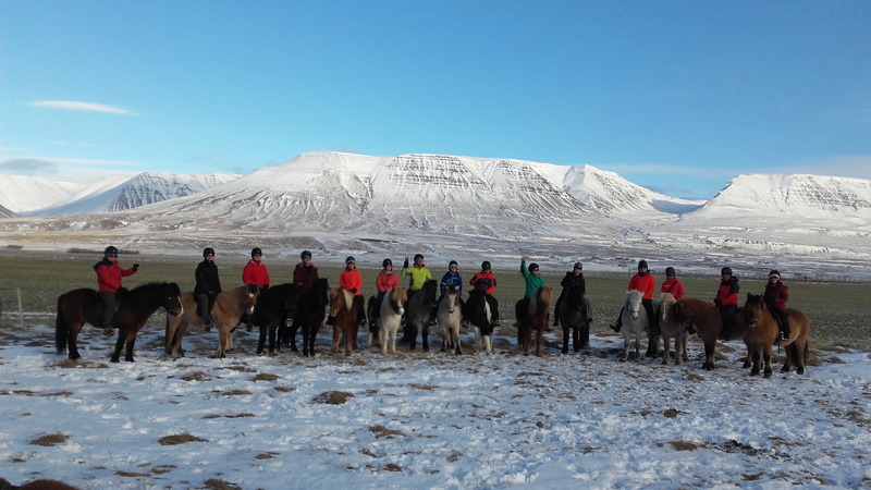 Viking Ride | Hestasport