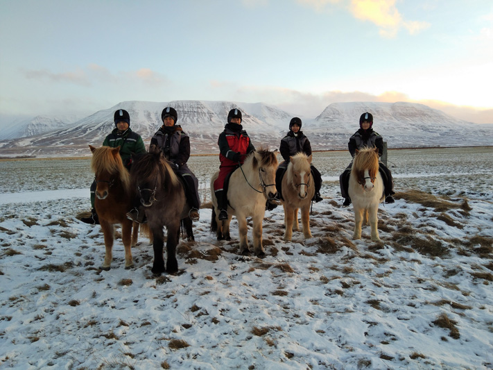 Viking Ride | Hestasport